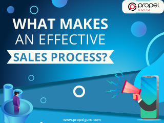 What Makes An Effective Sales Process? | Propel Guru